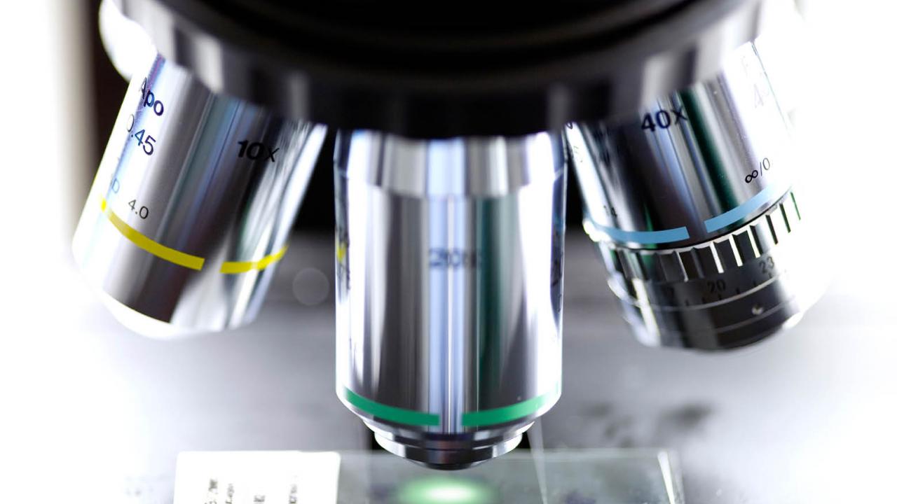 What TV gets wrong about forensic pathology | American Medical Association