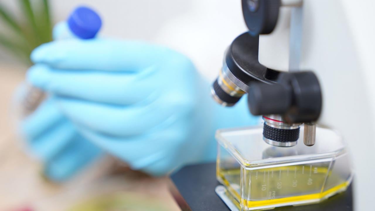 How evidence is guiding COVID-19 vaccine development | American Medical ...