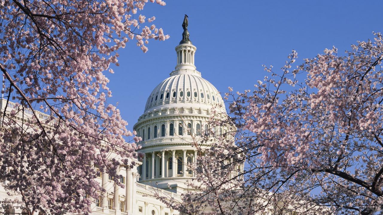Meet the AMA’s Capitol Hill allies protecting patients and practices ...