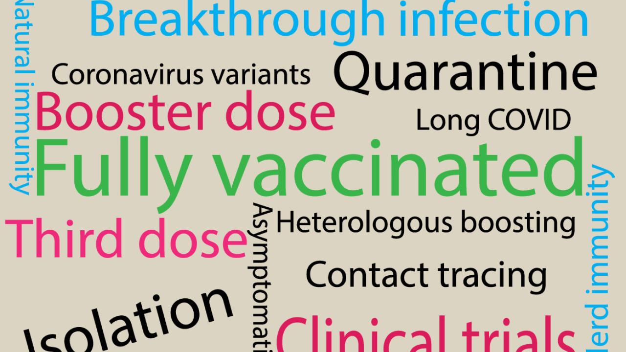 14 terms every patient should know about the COVID-19 pandemic ...