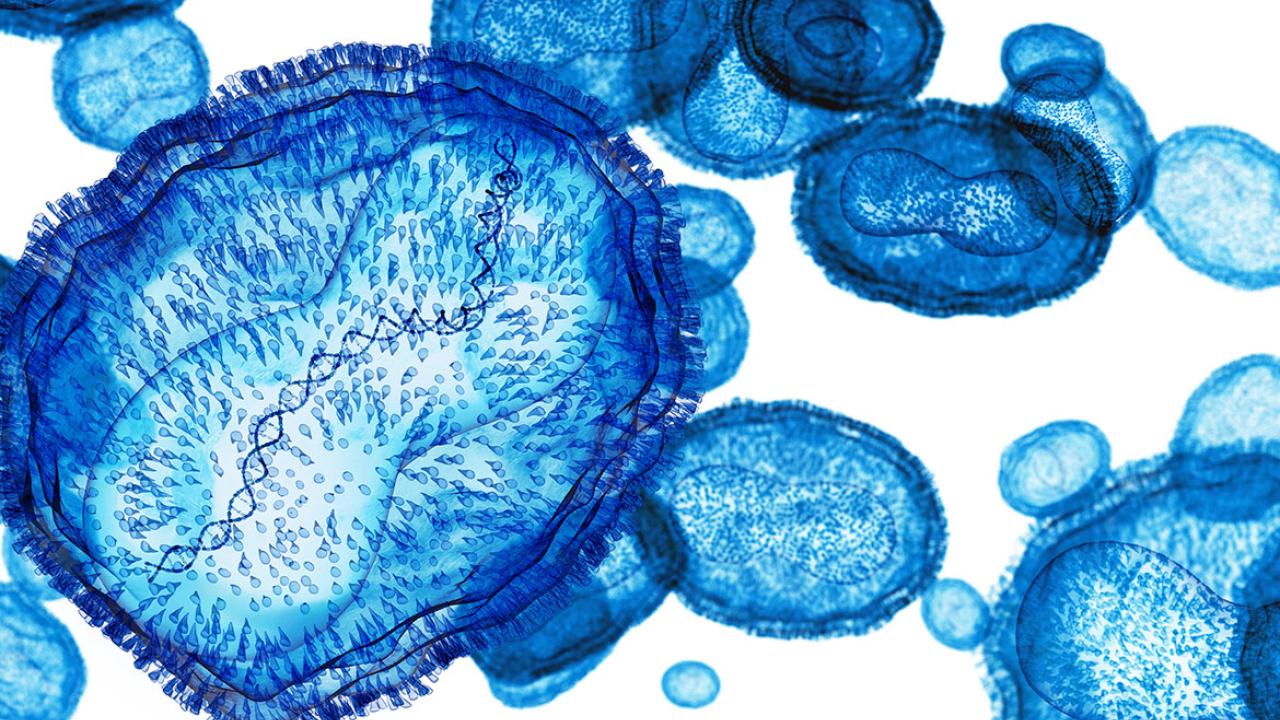 4 things every doctor should know about monkeypox | American Medical ...