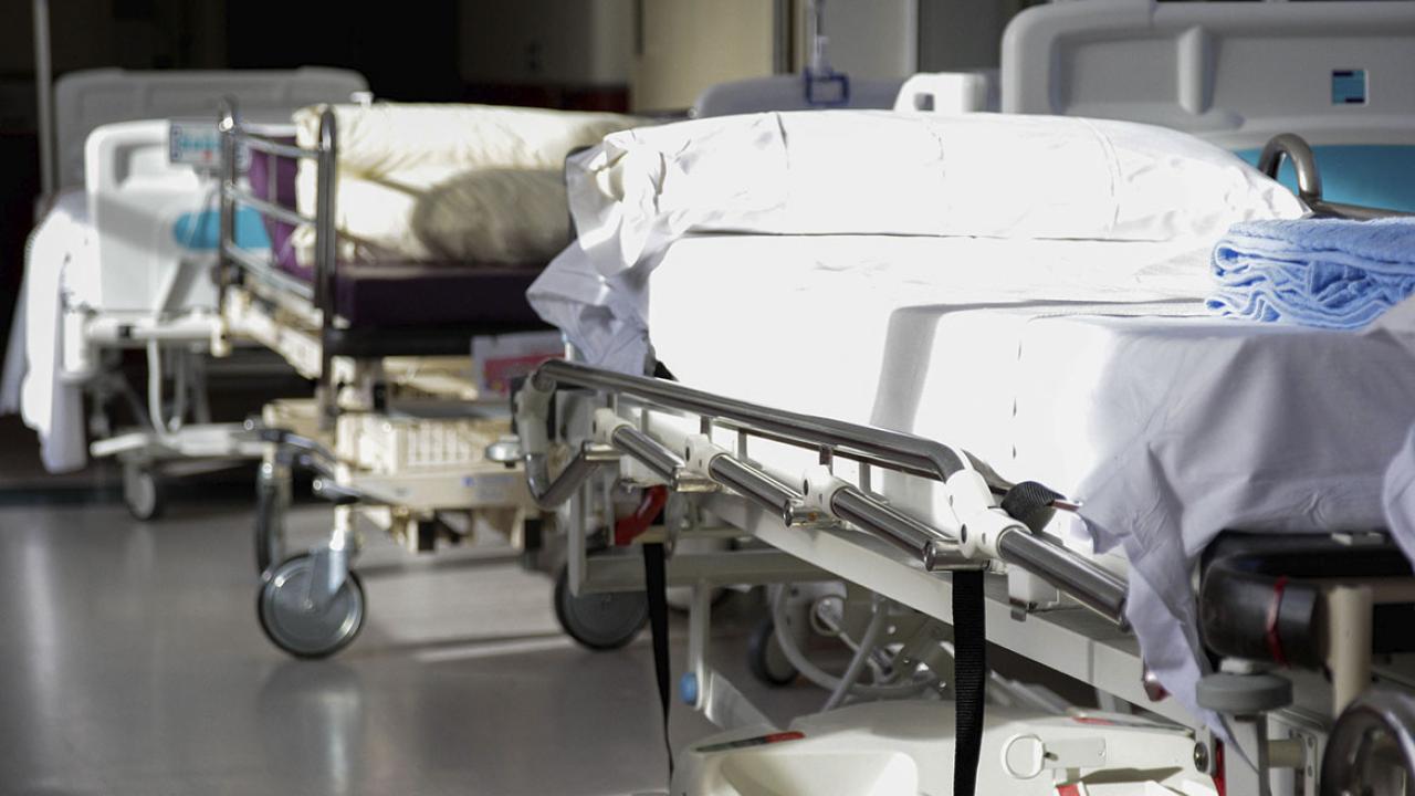 Sepsis education must include training for staff, patients, families ...