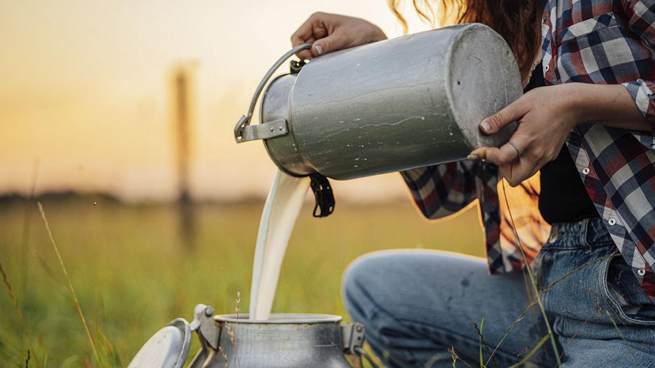 Raw milk: Questions patients may have and how to answer | American ...