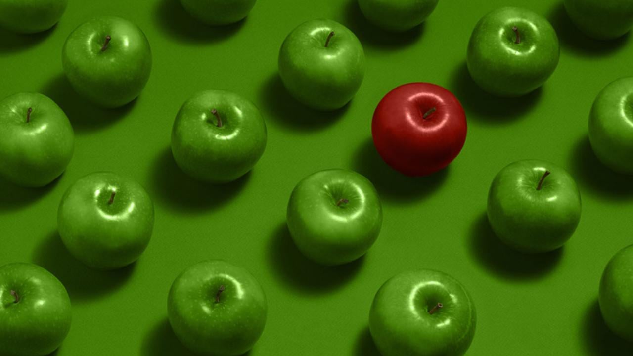 Applying to fellowship? A program director’s tips on standing out ...