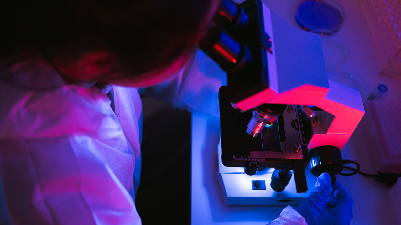 What it's really like in pathology—from 4 physicians who know ...