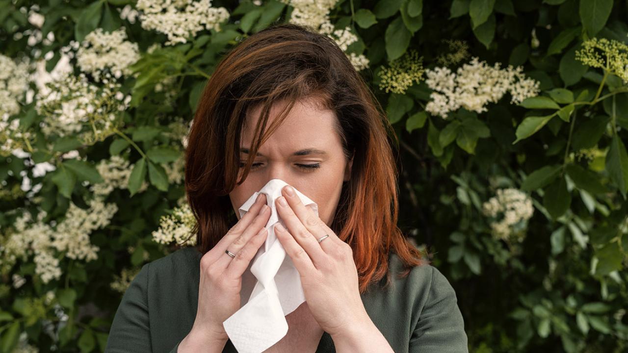 What doctors want patients to know about seasonal allergies | American ...